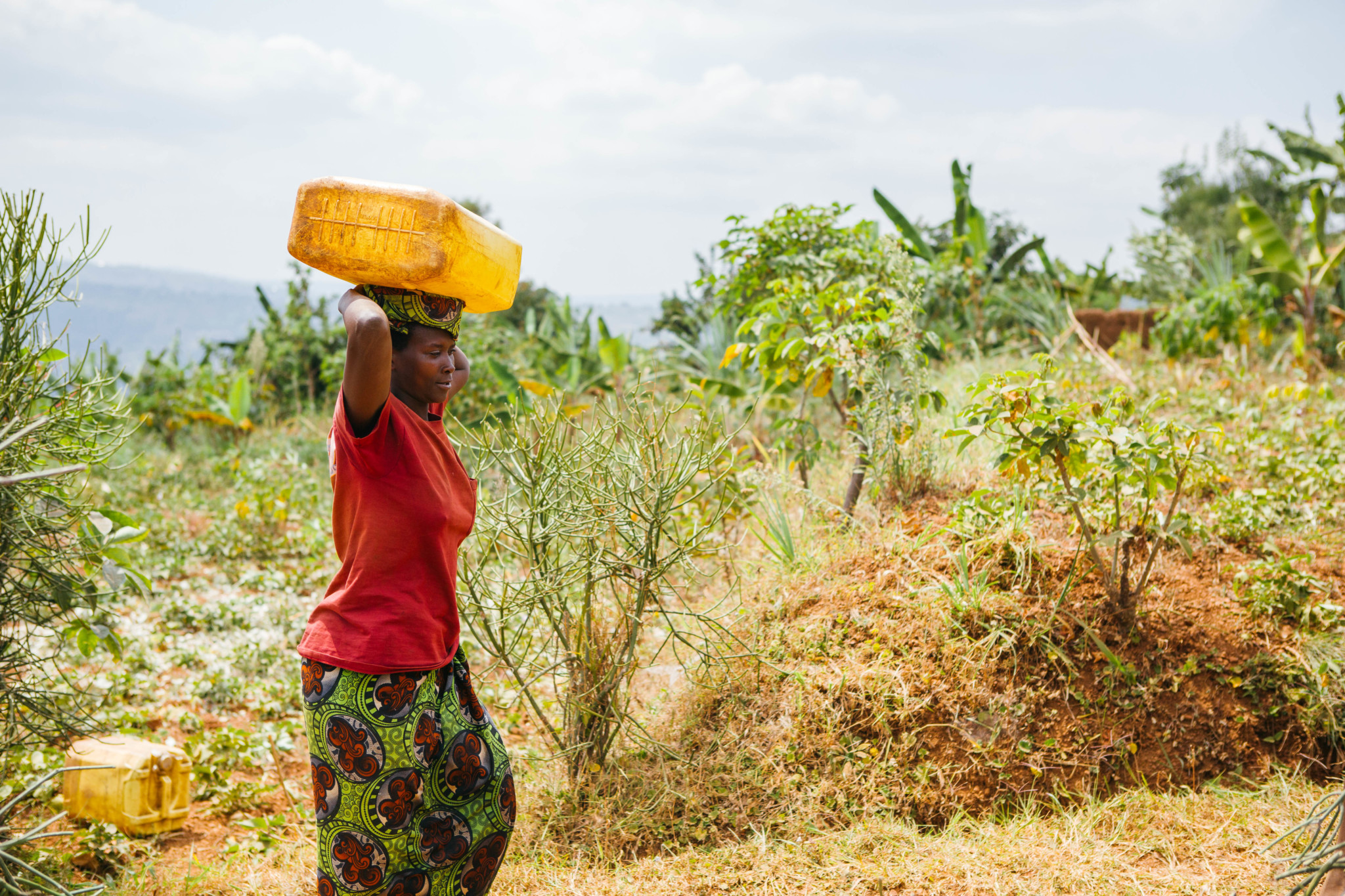 The Rulindo Challenge Program: A Personal Reflection on the Journey to ...